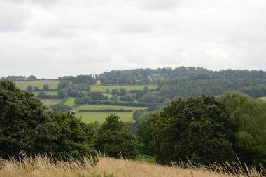 LCT 3G: River Valley Slopes & Combes | Torridge District Council